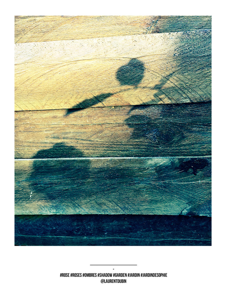 | Laurent DUBIN - Photographe